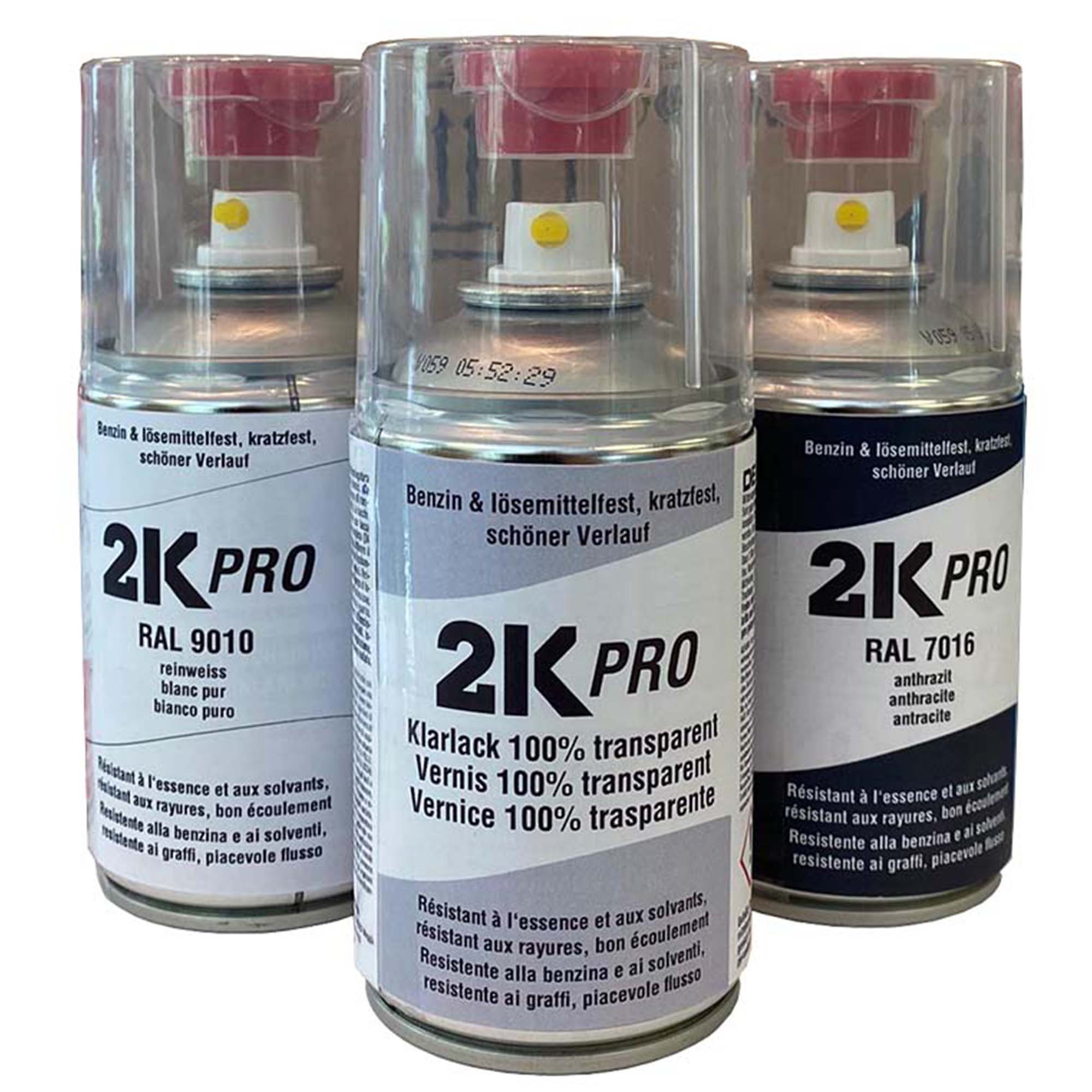 2K PRO 2-Komponenten Sprühlack - 250ml Spraydose | xenial.ch